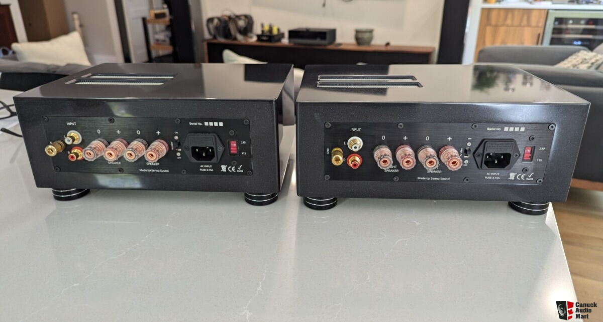 Senna Sound Onyx amplifier Photo #5384837 - Canuck Audio Mart