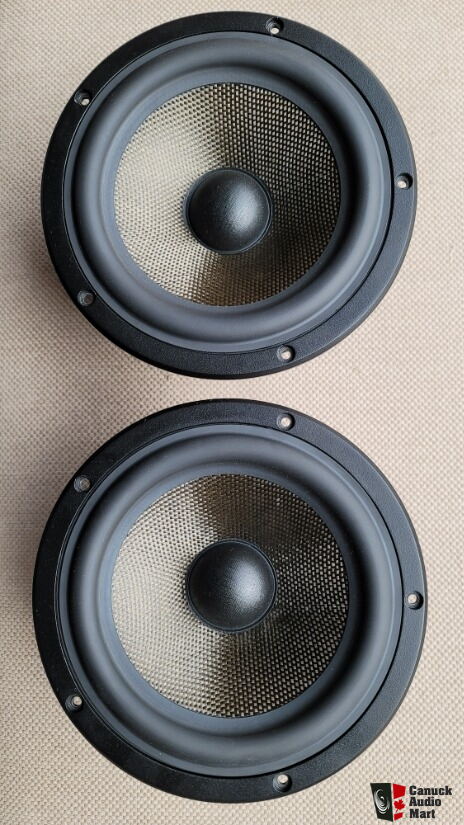 Two 7-inch BSC woofers from Revival Audio Technology - brand new For ...