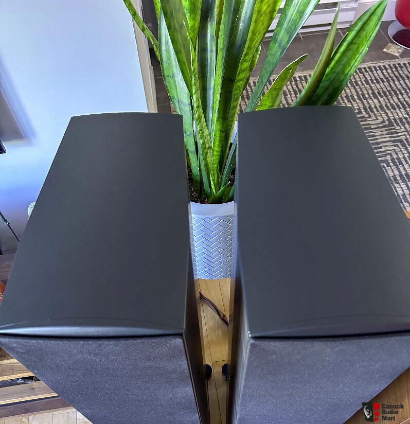 Paradigm Premier 800f with or without IsoAcoustics GAIA III Photo ...