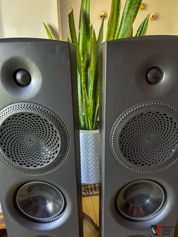 Paradigm Premier 800f with or without IsoAcoustics GAIA III Photo ...