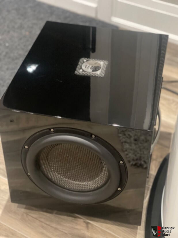 REL Carbon Special- Stereo Pair- World Class Performance- PENDING P/U ...