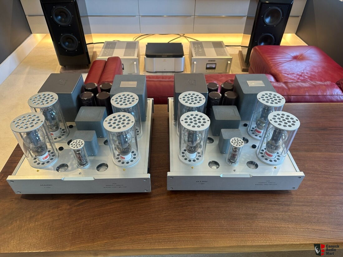 Allnic A6000 Mono Blocks - World Class HiFi - Amazing Performance ...