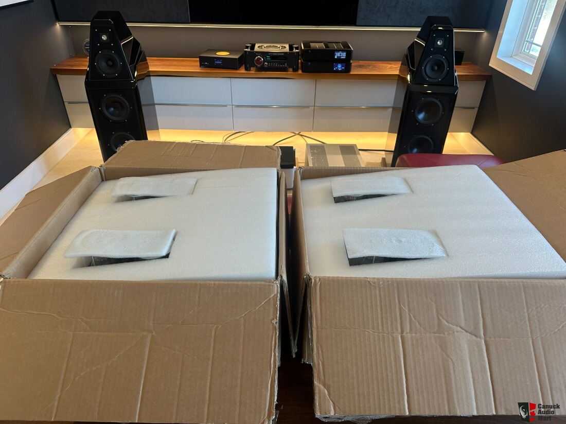 Allnic A6000 Mono Blocks - World Class HiFi - Amazing Performance ...