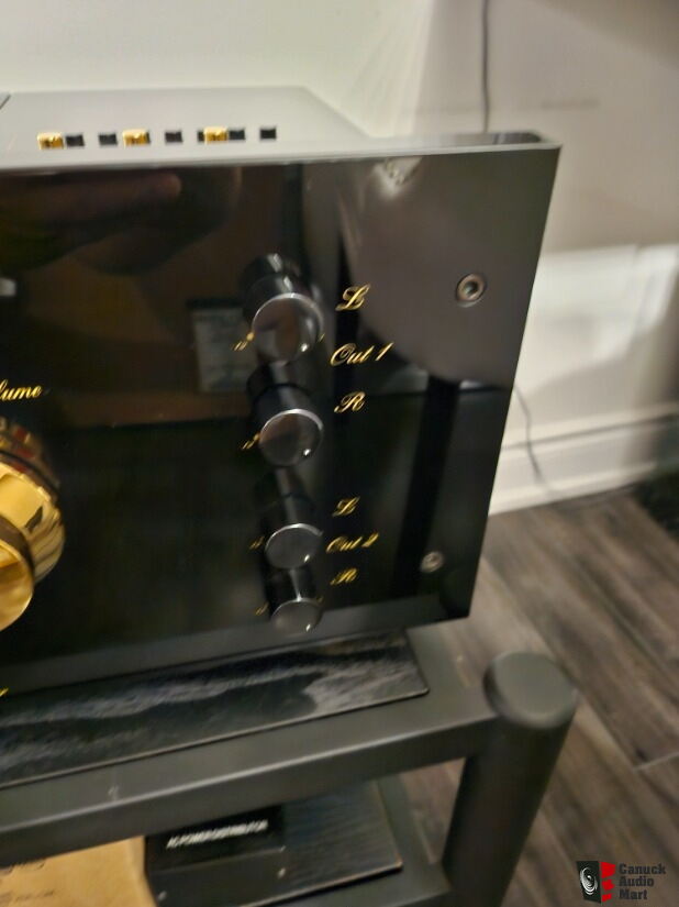 MBL 6010D Preamp ***Superb Condition Photo #5402137 - Canuck Audio Mart