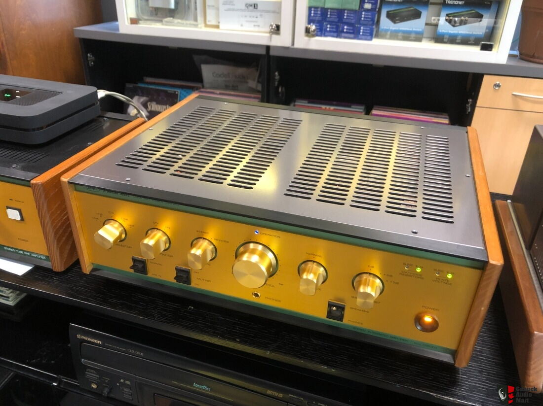Leben CS-600X Integrated Amplifier Photo #5403020 - Canuck Audio Mart