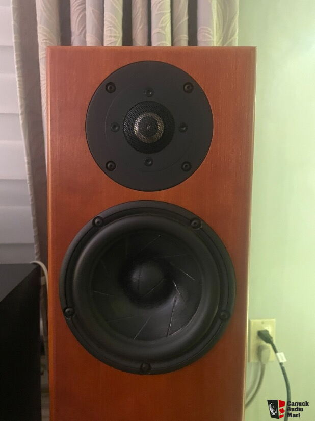 Totem Hawk Speakers - Cherry Photo #5409950 - Canuck Audio Mart