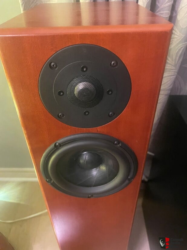 Totem Hawk Speakers - Cherry Photo #5409948 - Canuck Audio Mart