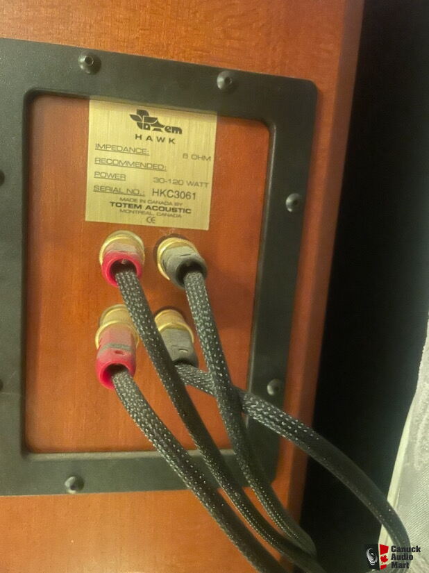 Totem Hawk Speakers - Cherry Photo #5409953 - Canuck Audio Mart