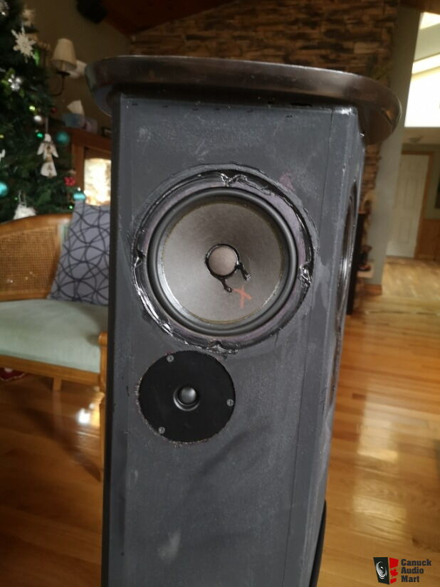 DCM Time Window speakers Photo #5410530 - US Audio Mart