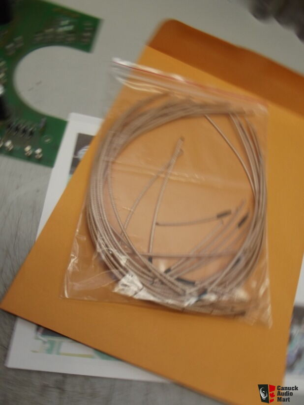 PCB SPA-1 Caztech Kit Photo #5410879 - Canuck Audio Mart