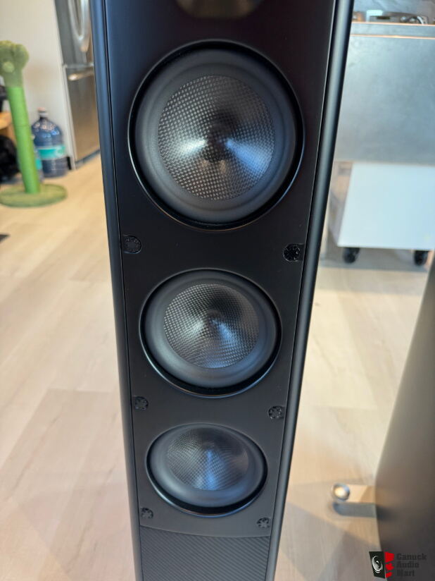 Scansonic MB6 B Speakers - Top of the Line - Baby Raidho's Photo ...