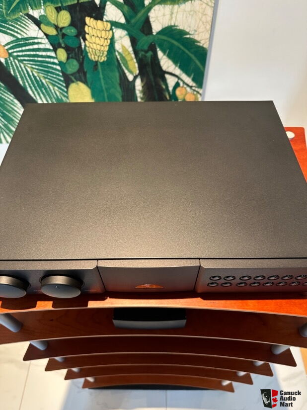 NAIM NAC 282 Pre Amplifier Photo #5421433 - Canuck Audio Mart