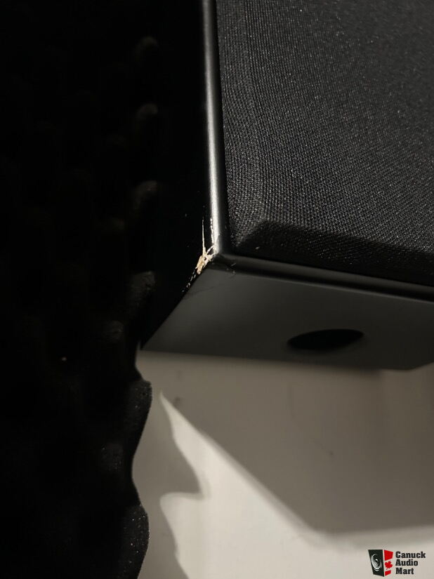 Totem Acoustic TRIBE I ( 4 units Available) Photo #5422530 - Canuck ...