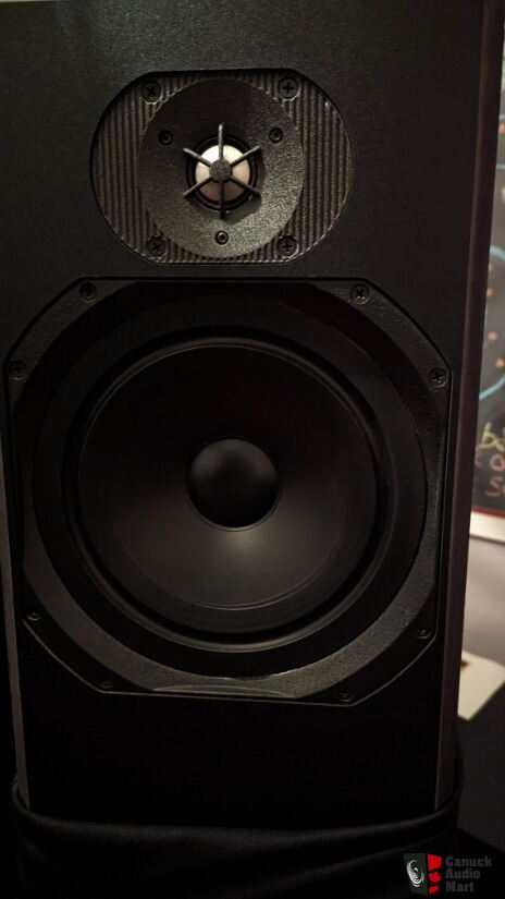 Paradigm Eclipse BP Photo #5424208 - Canuck Audio Mart