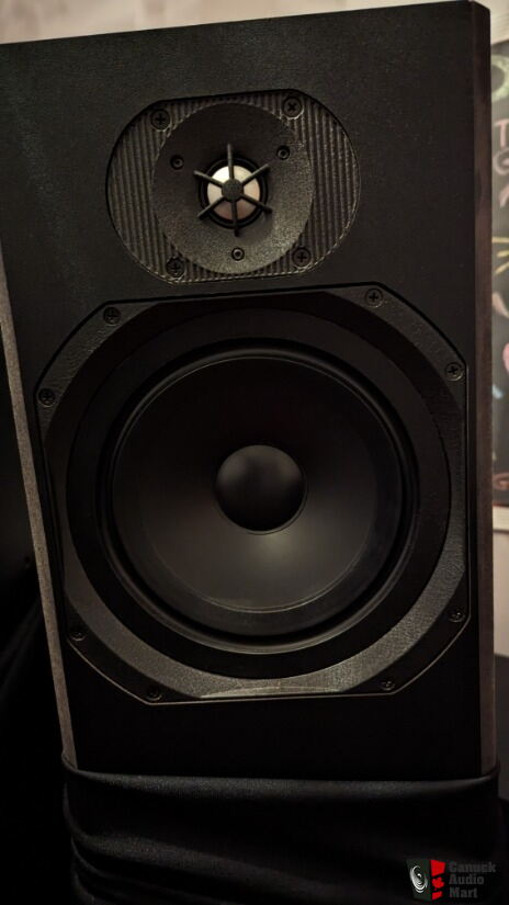 Paradigm Eclipse BP Photo #5424212 - Canuck Audio Mart