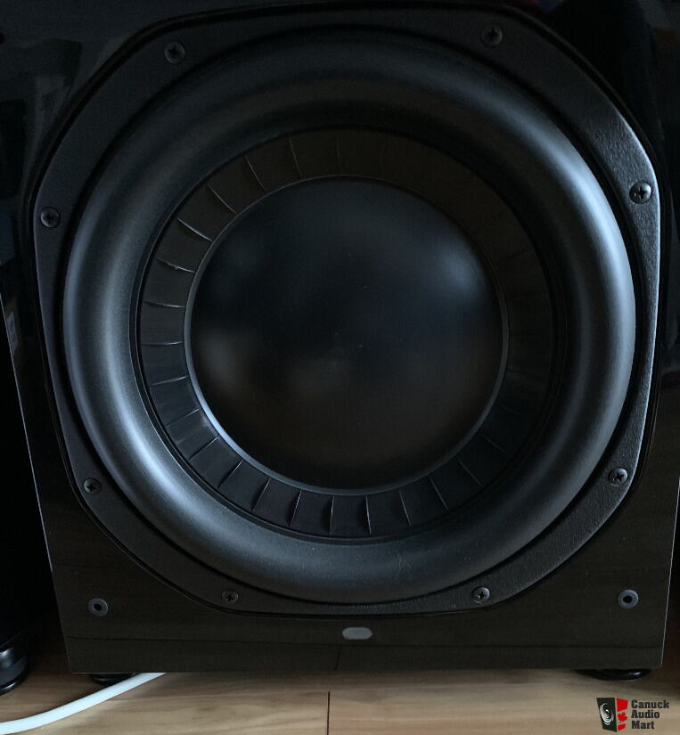 Paradigm Reference Studio SUB 15 Gloss Black Photo #5427725 - Canuck ...