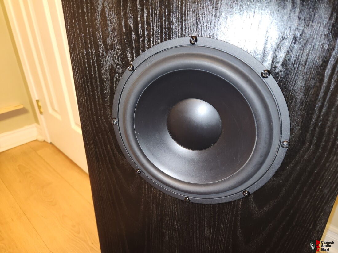 KEF 105.2 completely redone with original mids/tweeters Photo #5431329 ...