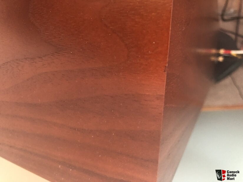 PMC Twenty-24 Speakers (Amarone finish)*REDUCED Photo #5419162 - Canuck ...