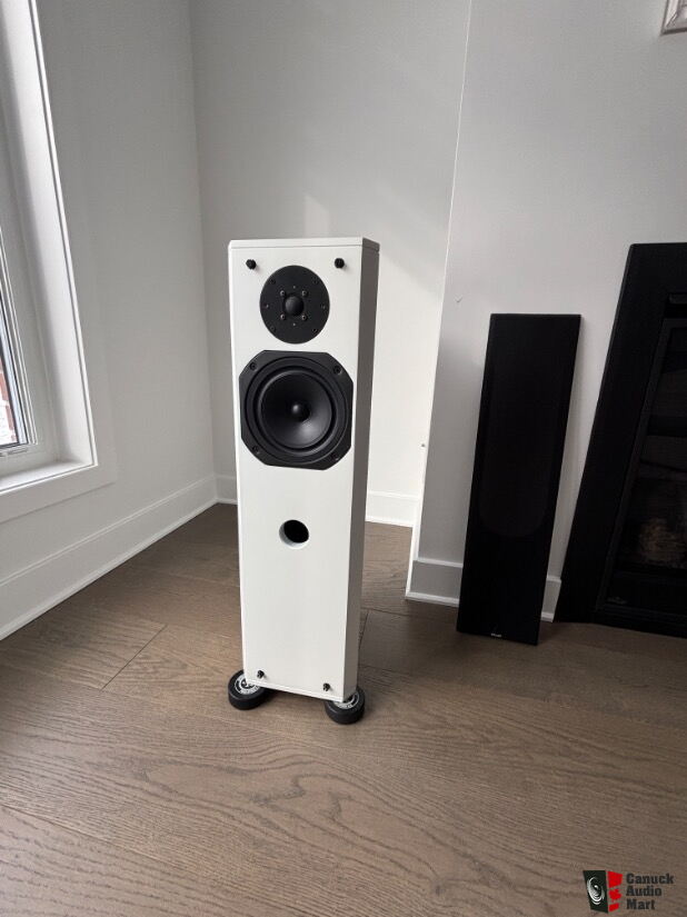 Driade 7 Loudspeakers Photo #5448650 - Canuck Audio Mart