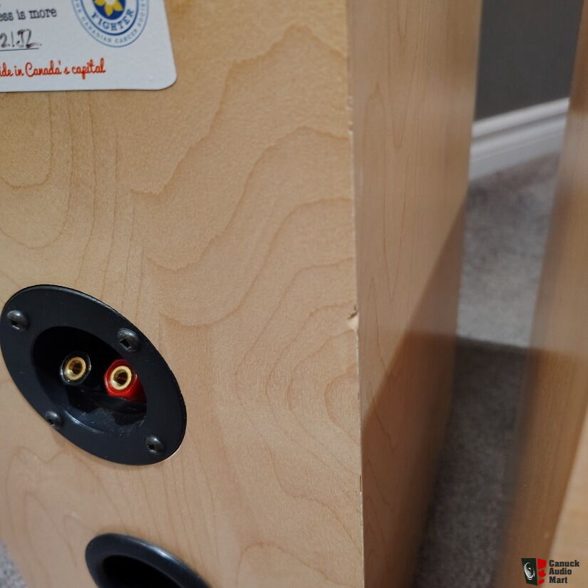 Unity Audio Whitewater v2 speakers, maple veneer Photo #5453590 ...