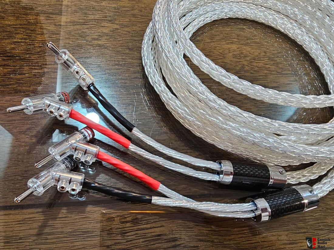 Silver plated OFC 16 braid speaker cable with custom plugs 3 meter pair ...