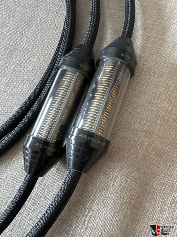 Shunyata Alpha V2 XLR Photo #5455524 - Canuck Audio Mart