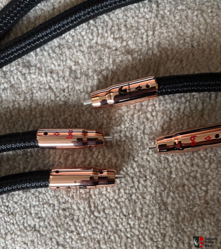 Audio Quest Black Beauty Interconnect 3m Photo #5456692 - Canuck Audio Mart