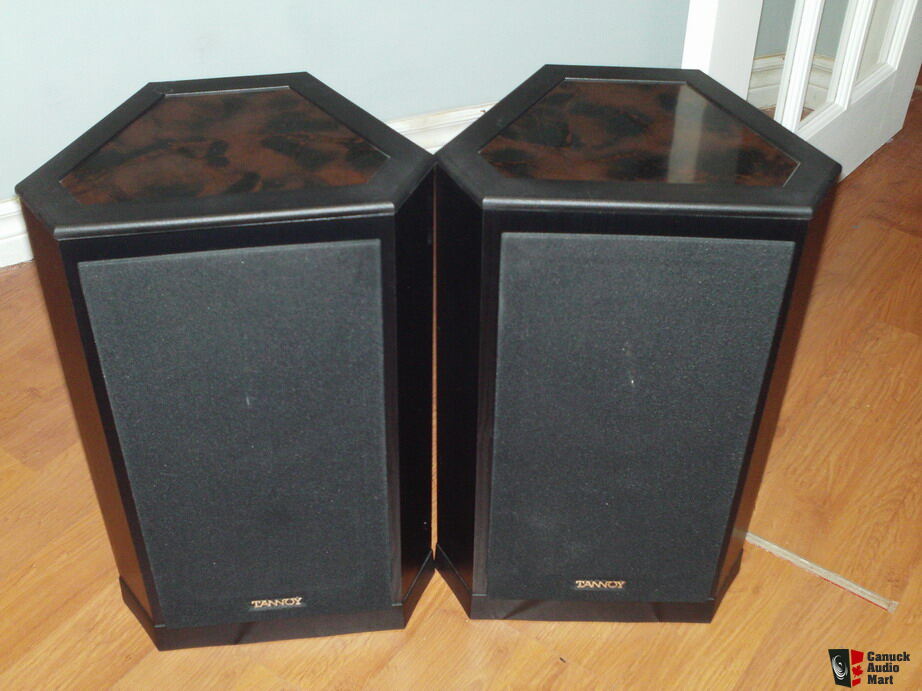 Tannoy 609 Dual Concentric Monitors Photo #546678 - US Audio Mart