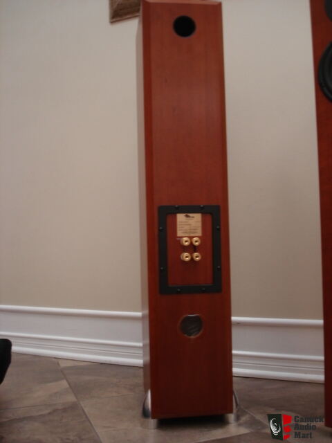 Totem Acoustics Hawk speakers Photo #5470413 - US Audio Mart