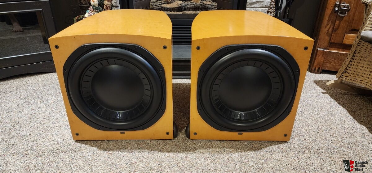 Paradigm Signature Servo 15 inch PAIR Photo #5473372 - Canuck Audio Mart