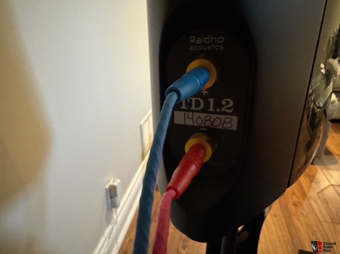 RAIDHO TD1.2s w Stands Photo #5479665 - US Audio Mart