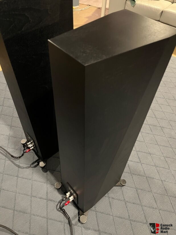 Paradigm Founder 100f Photo #5483486 - Canuck Audio Mart