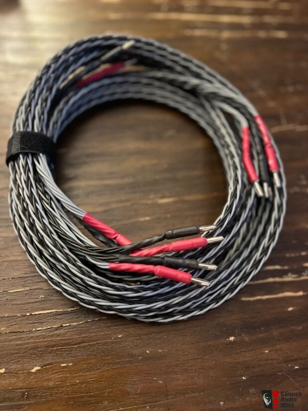 Kimber Kable 8VS Speaker Cables (8ft Pair) FREE GTA DELIVERY Photo ...