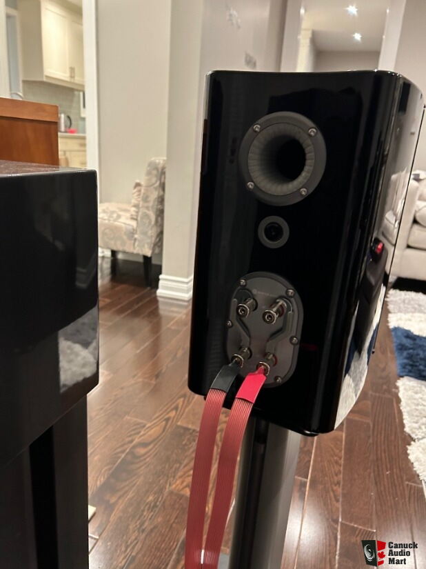Monitor Audio Platinum PL100 Photo #5489166 - Canuck Audio Mart