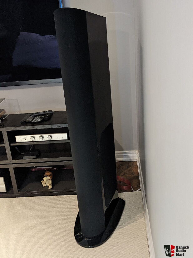 Goldenear Triton Reference Speakers Photo #5493392 - Canuck Audio Mart