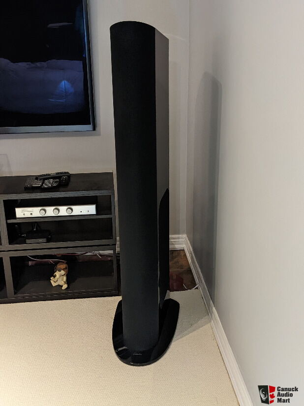 Goldenear Triton Reference Speakers Photo #5493394 - Canuck Audio Mart