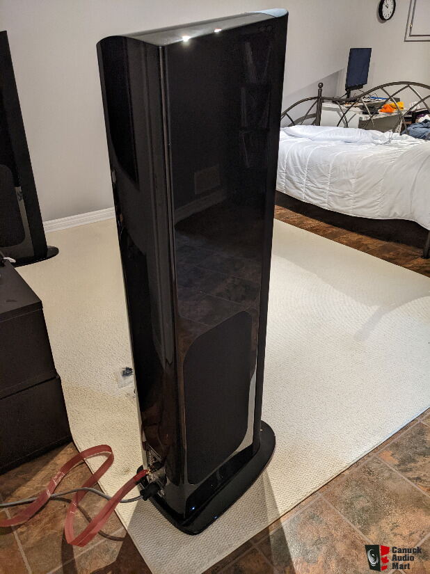 Goldenear Triton Reference Speakers Photo #5493395 - Canuck Audio Mart