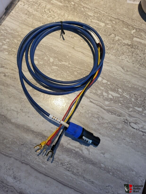 2 REL Baseline Blue 3m cables Photo #5495881 - Canuck Audio Mart