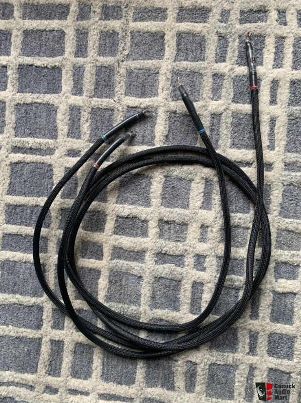 Virtual Dynamics David Speaker Cables For Sale - Canuck Audio Mart