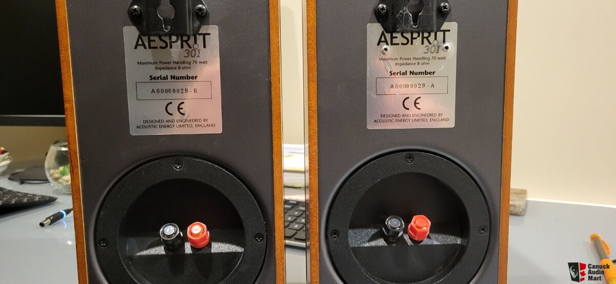 Acoustic Energy surround speakers - Aespirt 301 Photo #5500538 - US ...