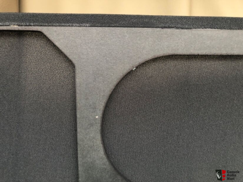 ⭐️PMC Twenty-24 Speakers (Amarone finish) ***price reduced Photo ...