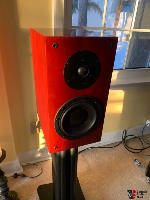 Swan D2.1SE HiGloss Rosewood and matching stands Photo #5514701 ...
