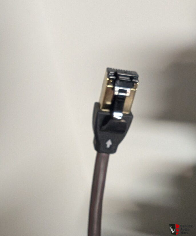 Audioquest Cinnamon 12m Ethernet cable Photo #5520948 - Canuck Audio Mart