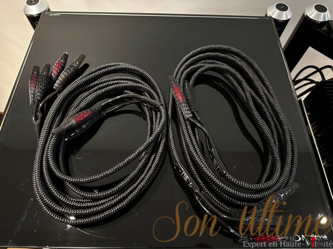 Audioquest Rocket 44 Single/Bi-Wire Banana 15 feet (Used) Photo ...