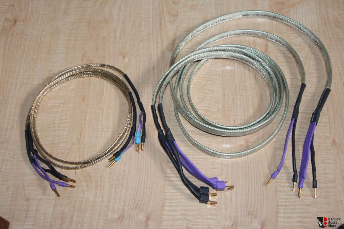 Analysis Plus Big Silver Oval (7ft) and Silver Oval (4ft) speaker ...