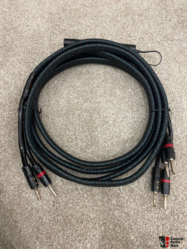 Audioquest Rocket 88 (1 only) with DBS 72 Photo #5533439 - Canuck Audio ...