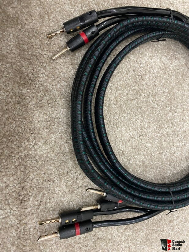 Audioquest Rocket 88 (1 only) with DBS 72 Photo #5533441 - Canuck Audio ...