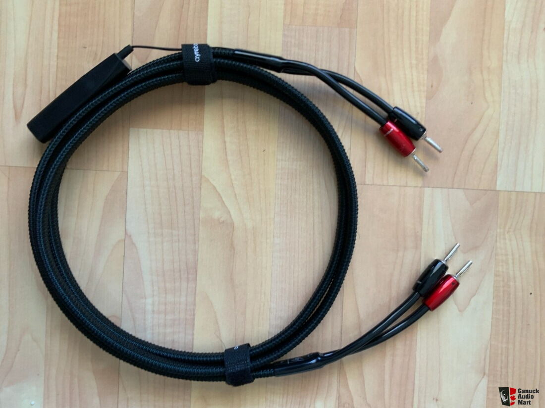 Audoquest Rocket 88 Speaker cable 8ft. pair For Sale - US Audio Mart