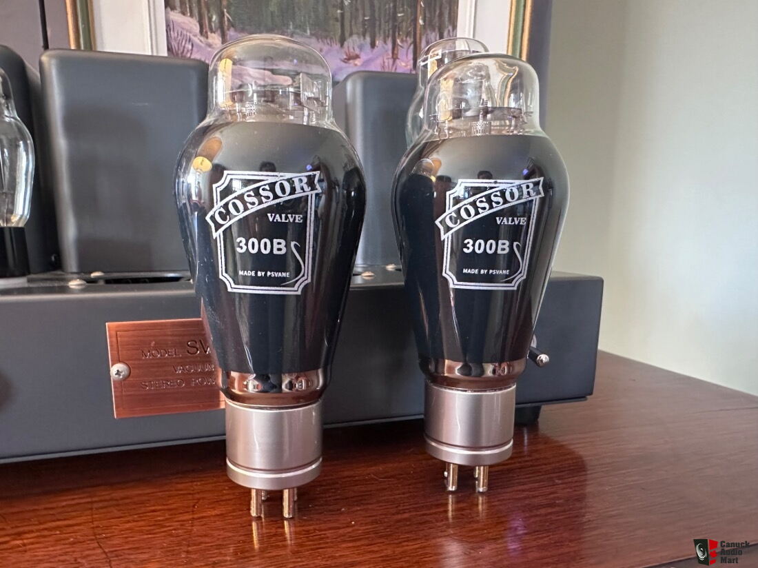 SUN AUDIO SV-300BE Single Ended Tube Amplifier ($2,000 without tubes ...