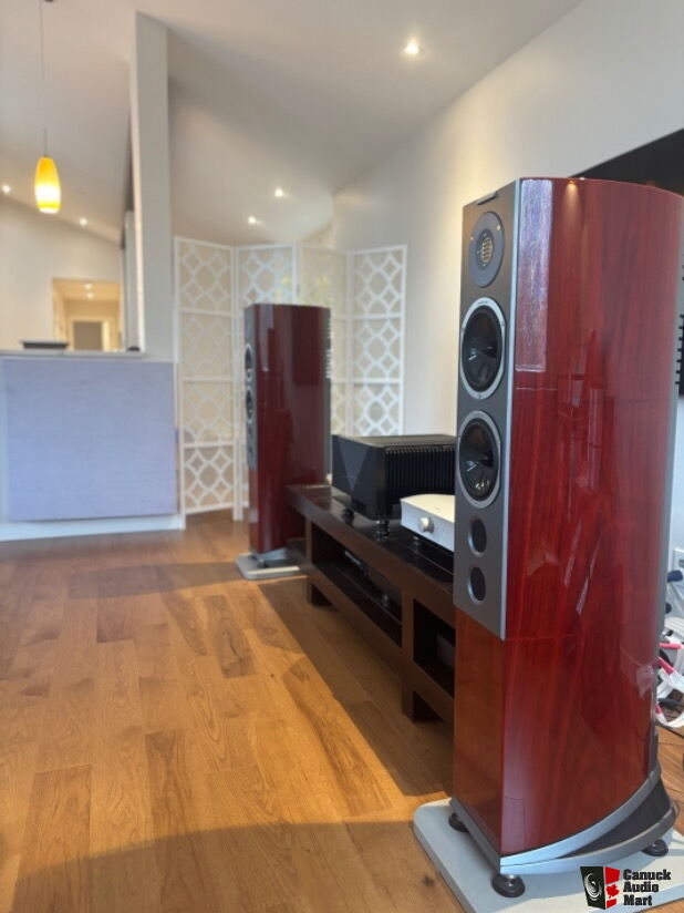 Audiovector R6 Arrete - Great Condition Photo #5549155 - US Audio Mart
